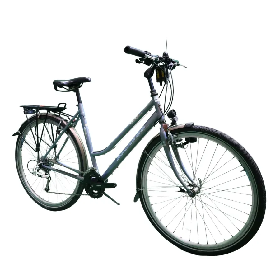 Batavus Apache Dames Gris 53cm 2023 | Holland Bikes